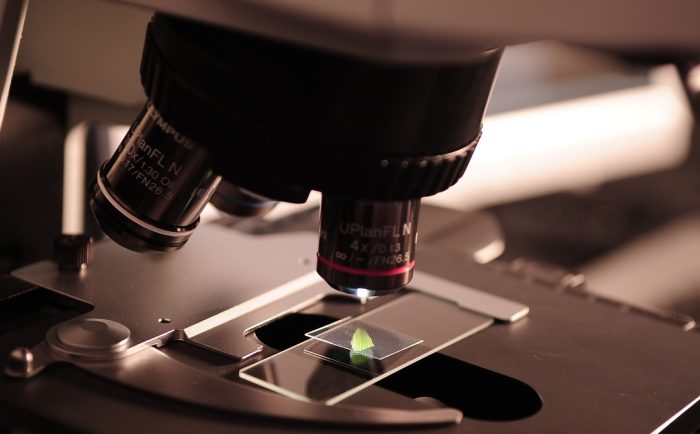 10 Key Strengths In Science: Strengths of a Great Scientists